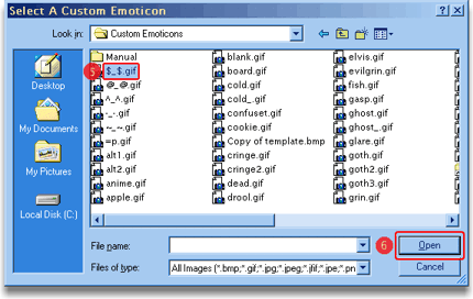 Custom Emoticon Manual